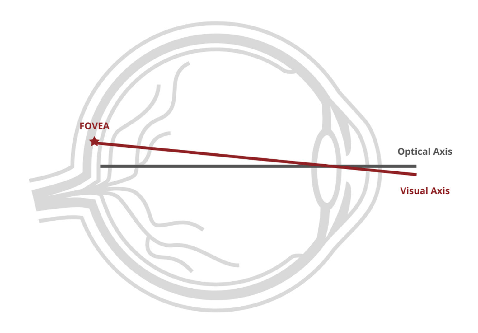 EyeLogic - Blog - What is Calibration and why we need it